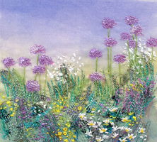 Herbaceous Border with Alliums 2